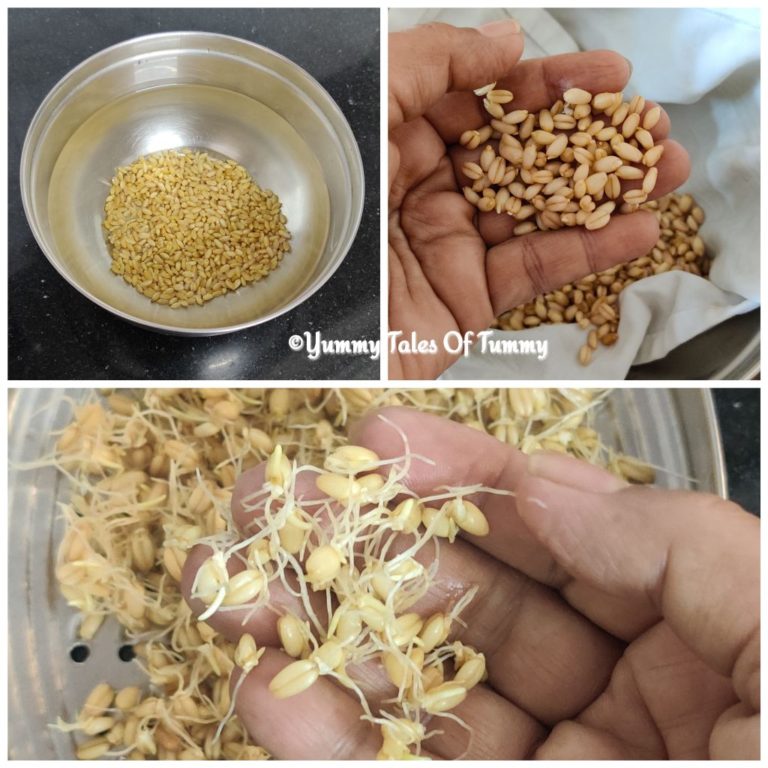 Dodha Barfi Recipe | Doda barfi | Toda barfi - Yummy tales of tummy