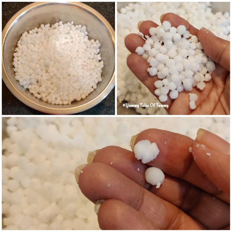 Sabudana kheer | Indian Sago Pudding - Yummy tales of tummy